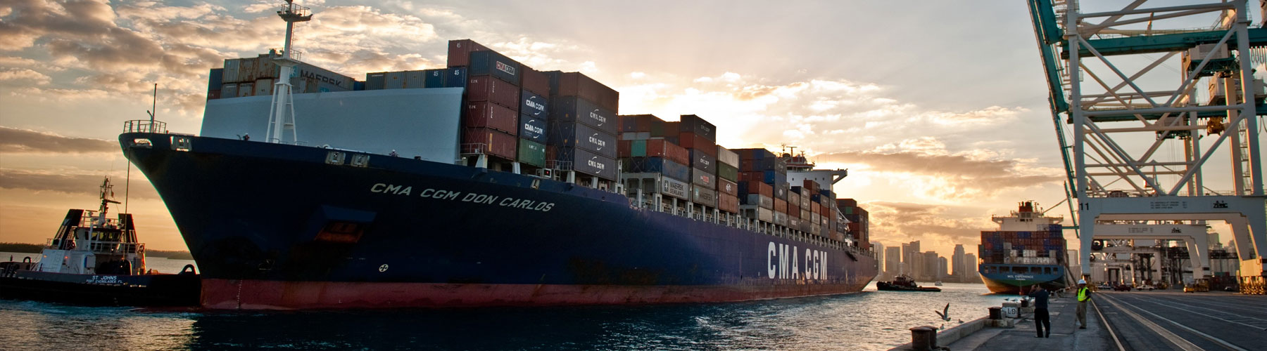 GM CARGO & COMEX